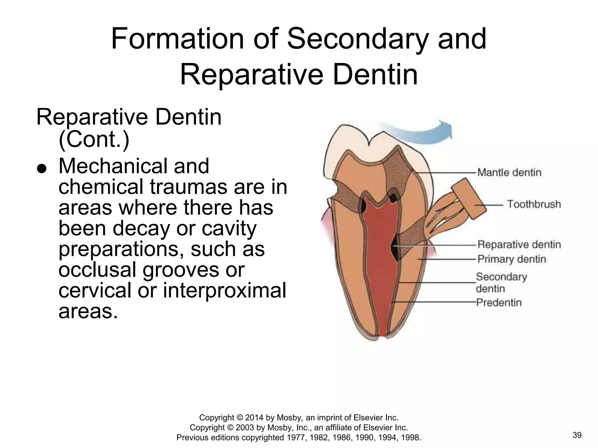 Oral Anatomy: Enamel, dentin, and pulp | PPTX