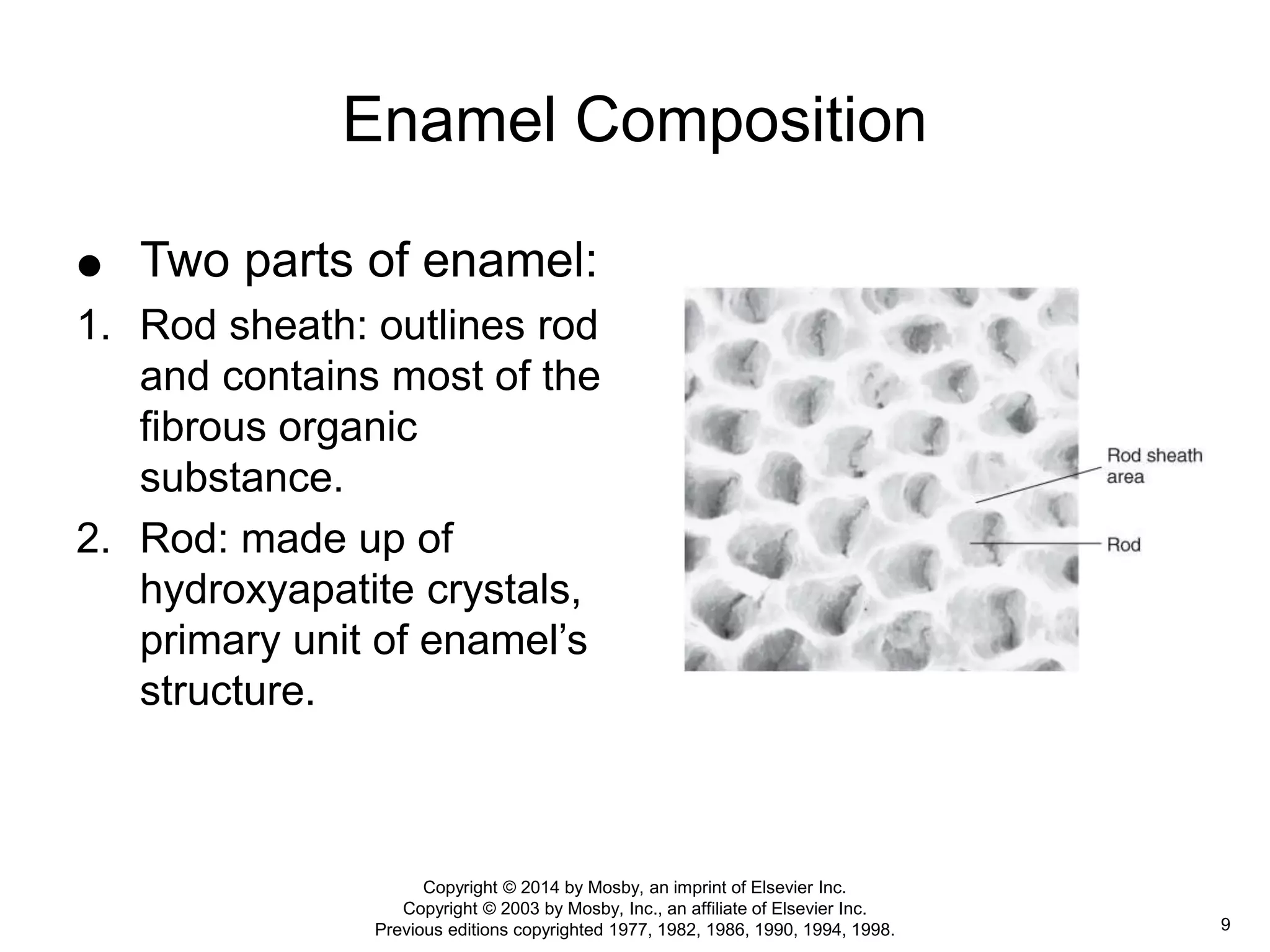 Oral Anatomy: Enamel, dentin, and pulp | PPTX