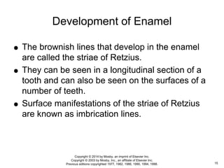 Oral Anatomy: Enamel, dentin, and pulp | PPTX