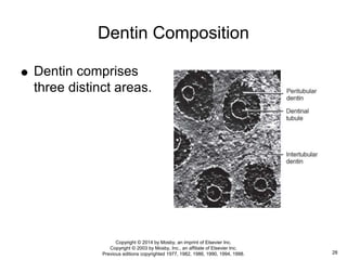 Oral Anatomy: Enamel, dentin, and pulp | PPTX