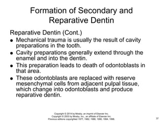 Oral Anatomy: Enamel, dentin, and pulp | PPTX