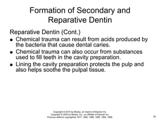Oral Anatomy: Enamel, dentin, and pulp | PPTX