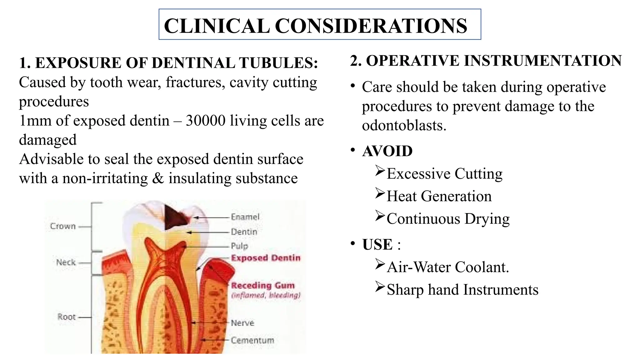 ENAMEL,DENTIN,PULP,CEMENTUM AND PDL,PDL.pptx