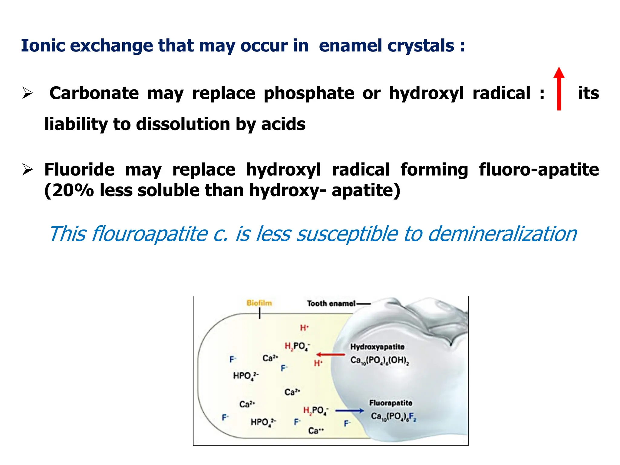 tooth enamel full chapter 'oral histology'.pdf