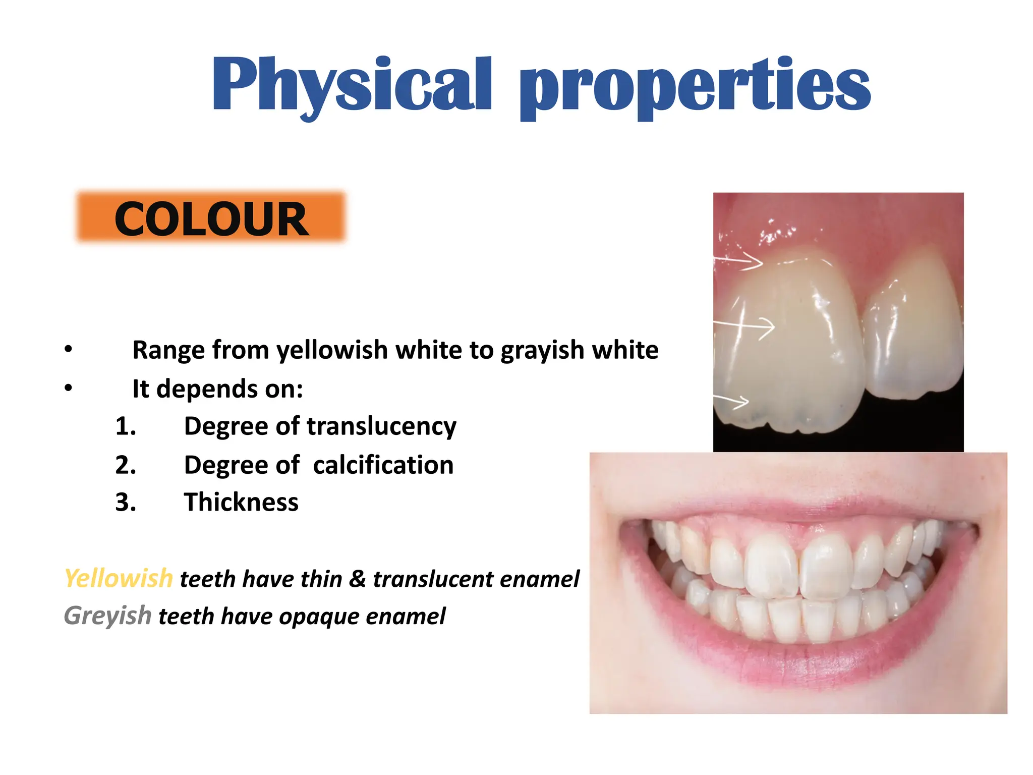 tooth enamel full chapter 'oral histology'.pdf