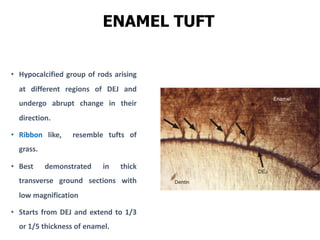 tooth enamel full chapter 'oral histology'.pdf