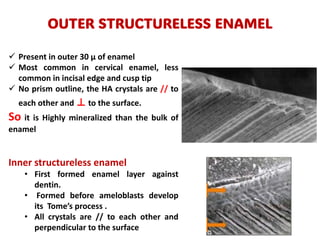 tooth enamel full chapter 'oral histology'.pdf