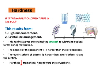 tooth enamel full chapter 'oral histology'.pdf