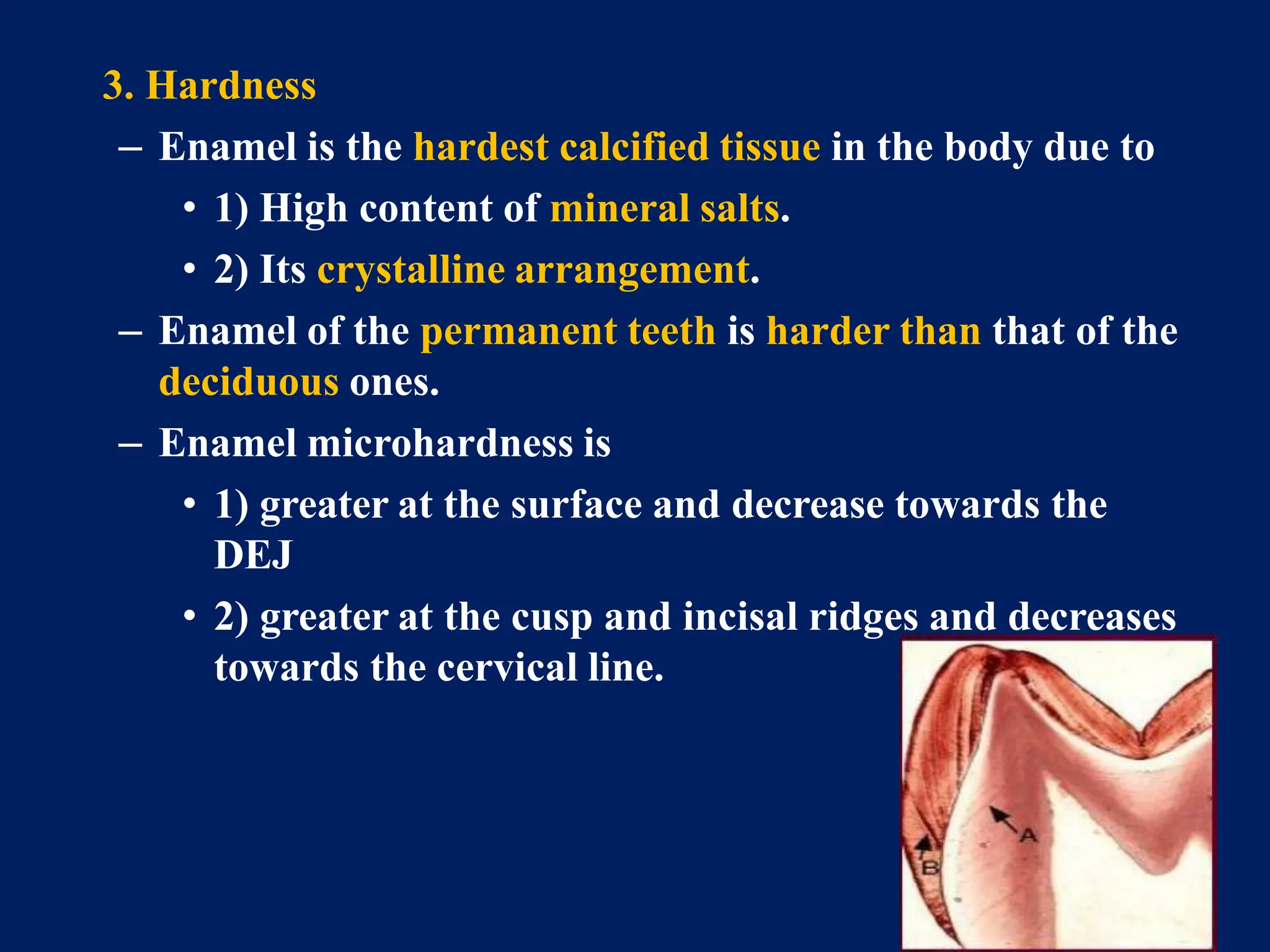 Seminar on tooth enamel ,enamel structure ,amelogenesis and complete ...