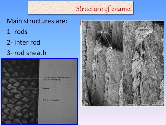 Enamel presentation. prepared by mohammed yahia