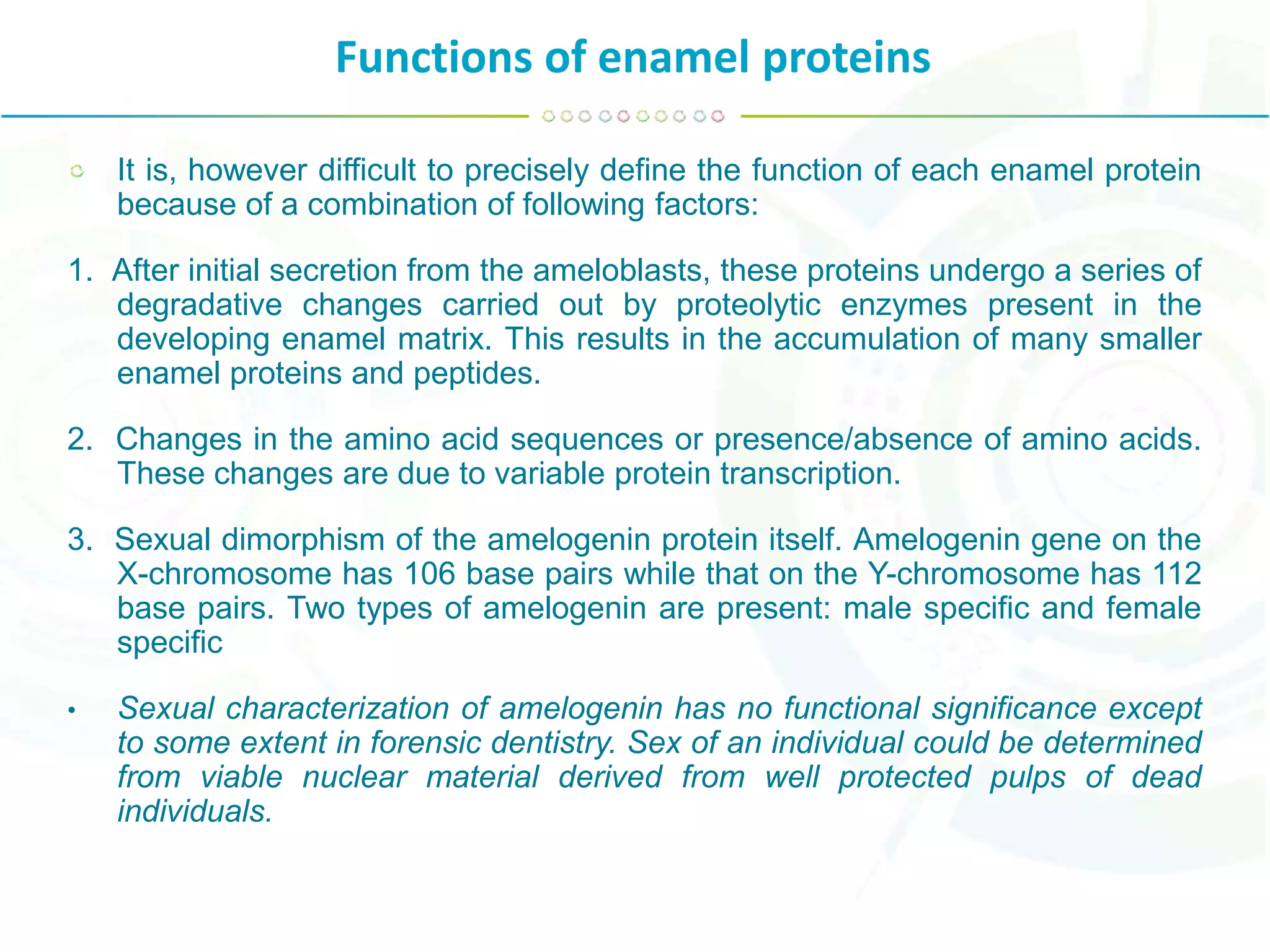 Enamel proteins | PPT