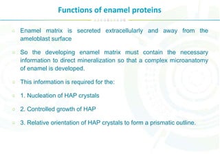 Enamel proteins | PPT