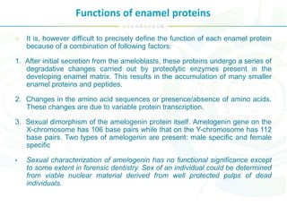 Enamel proteins | PPT