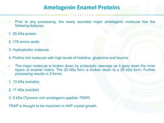 Enamel proteins | PPT