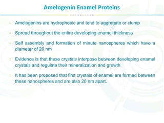 Enamel proteins | PPT