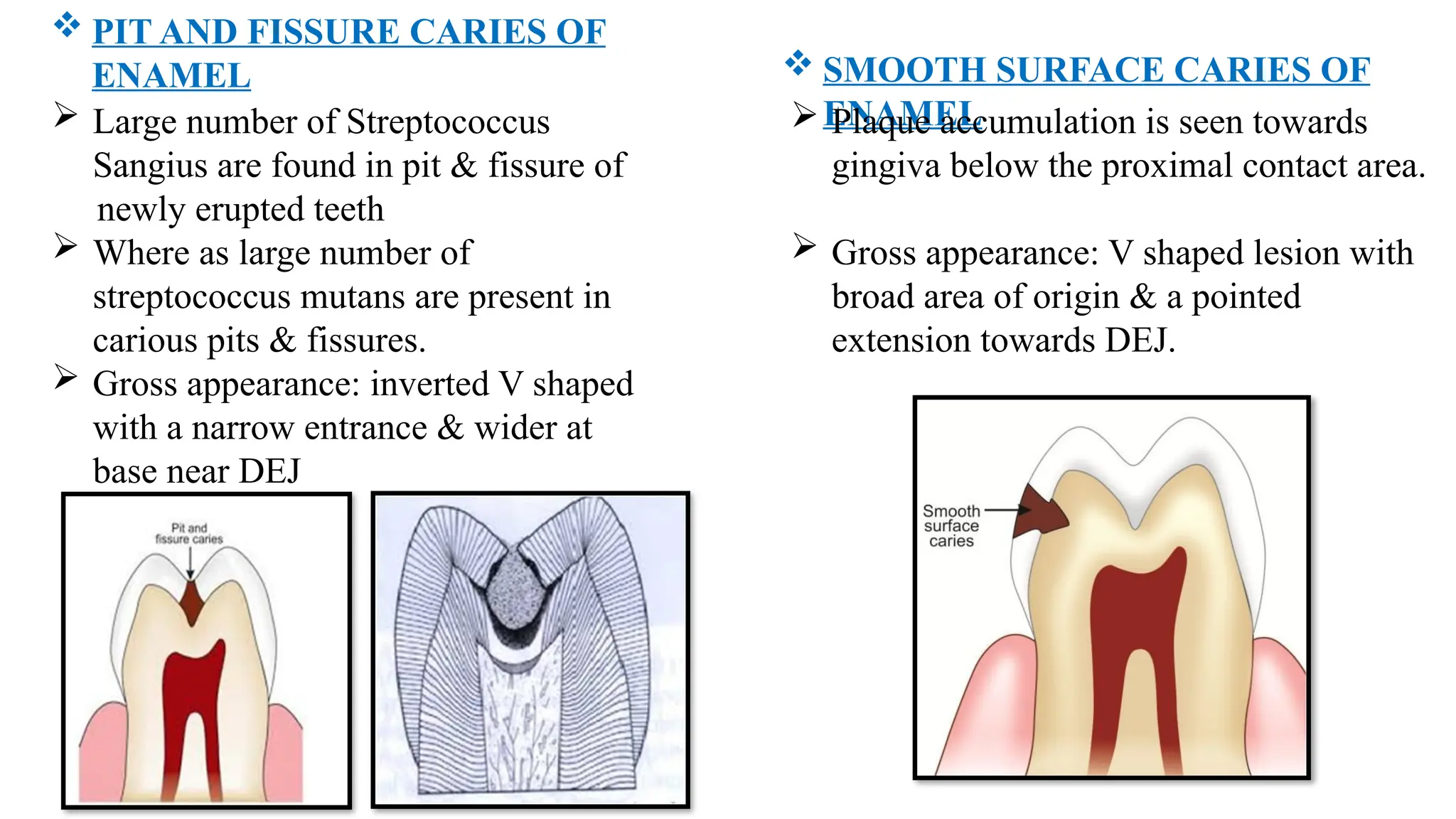 Enamel Seminar - Anu presented.pptx...... | PPTX