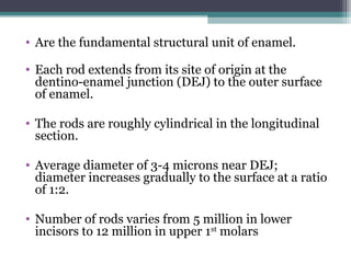 Enamel amelogeneis, physical properties and histology | PPT