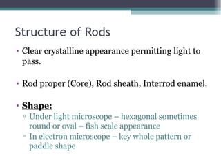 Enamel amelogeneis, physical properties and histology | PPT