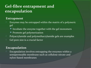 Immobilized enzymes | PPT