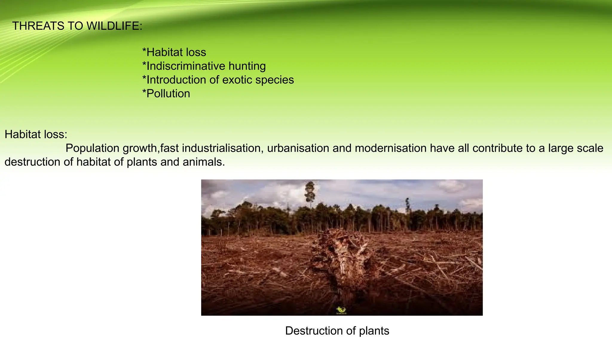 SOC WILDLIFE PPT for class 6 to 8 .pptx