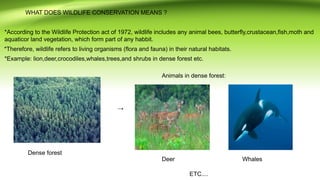 SOC WILDLIFE PPT for class 6 to 8 .pptx
