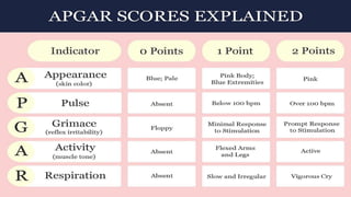 ENBC.pptx...Essential newborn care...... | PPT