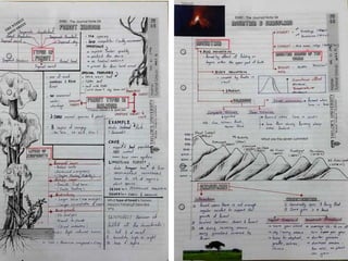 Enbe 1 | PPT