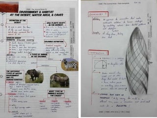 Enbe 1 | PPT