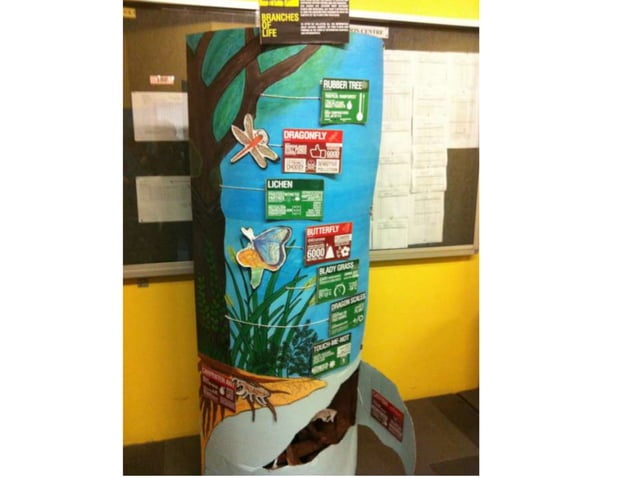 ENBE Infographic poster | PPT