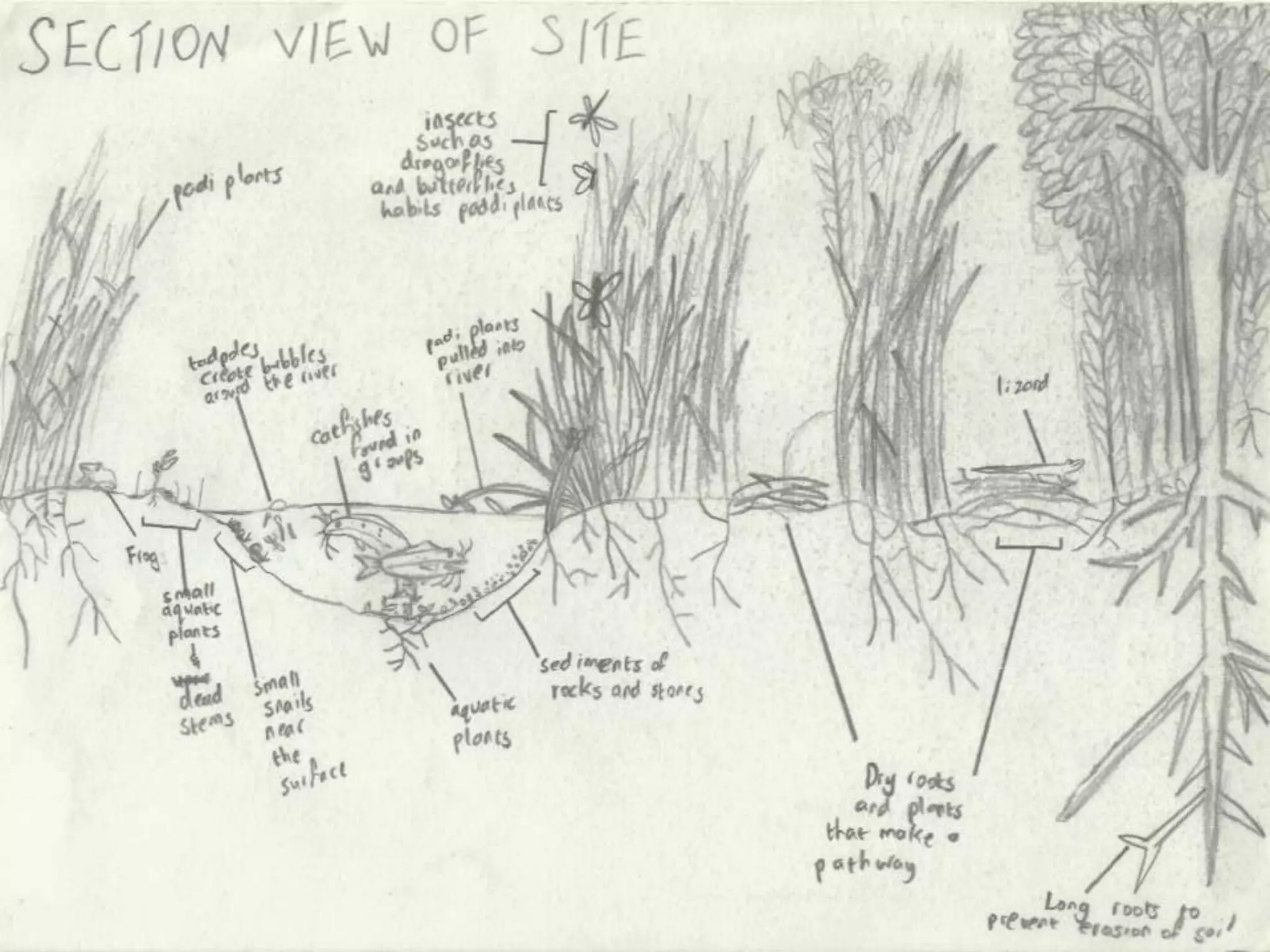ENBE Project 1 - Individual Powerpoint | PPTX