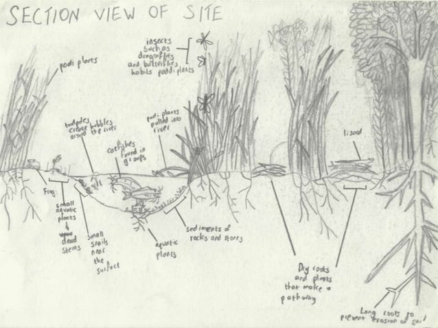 ENBE Project 1 - Individual Powerpoint | PPT