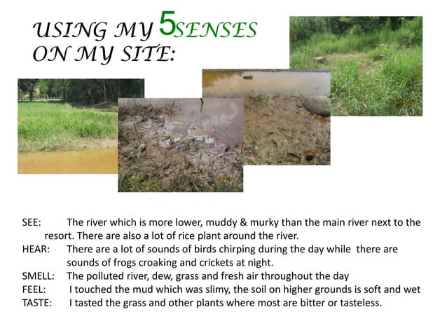 ENBE Project 1 - Individual Powerpoint | PPT