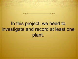 ENBE (Individual Documentation) | PPT