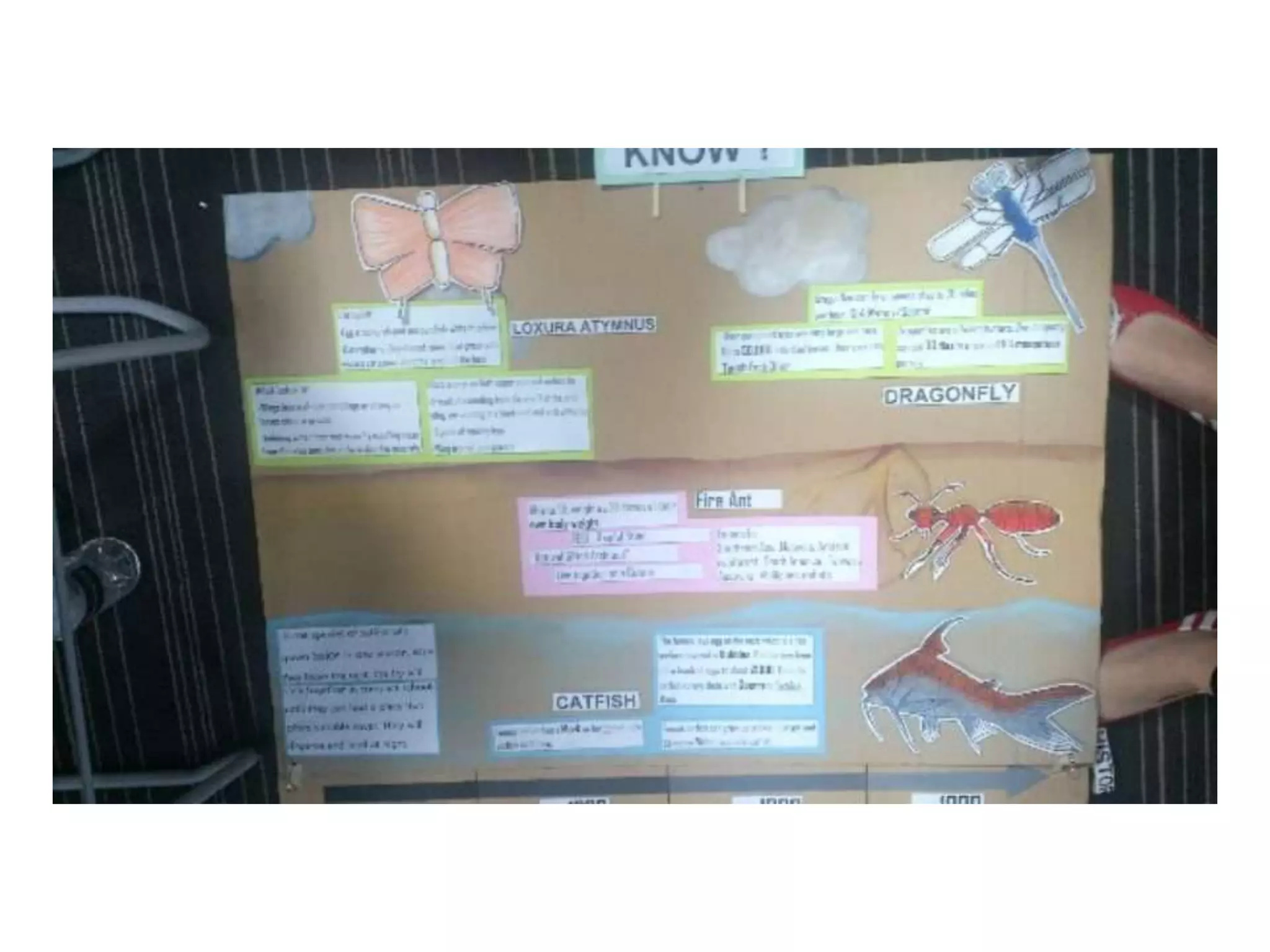 Enbe infographic | PPTX