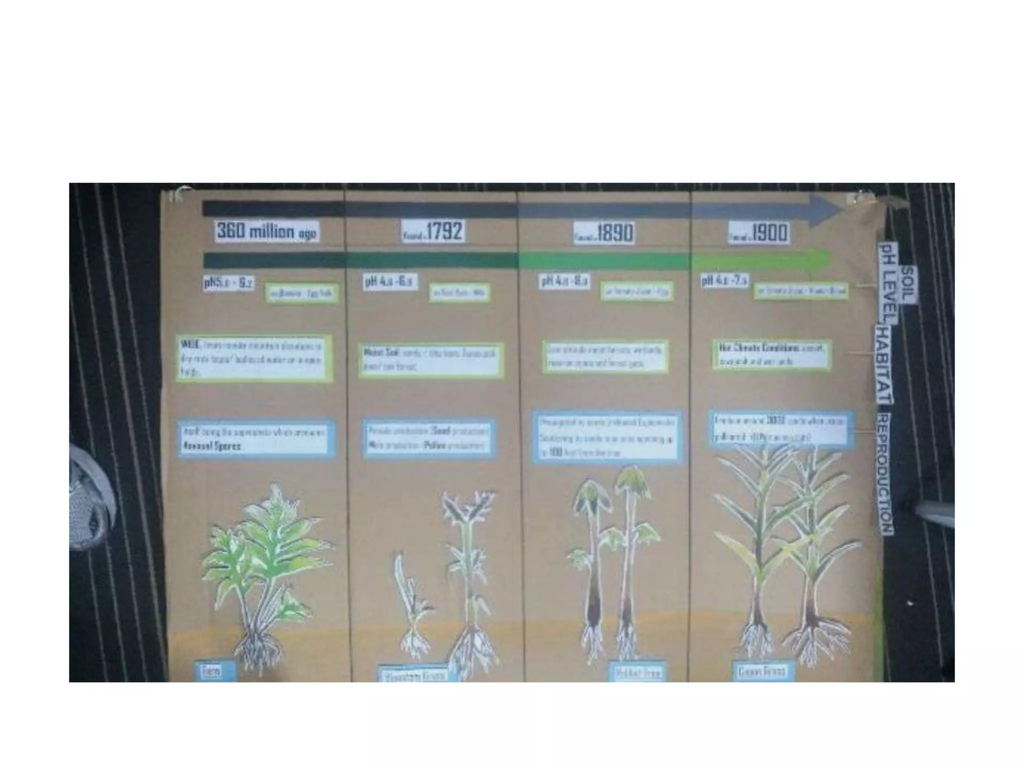 Enbe infographic | PPTX