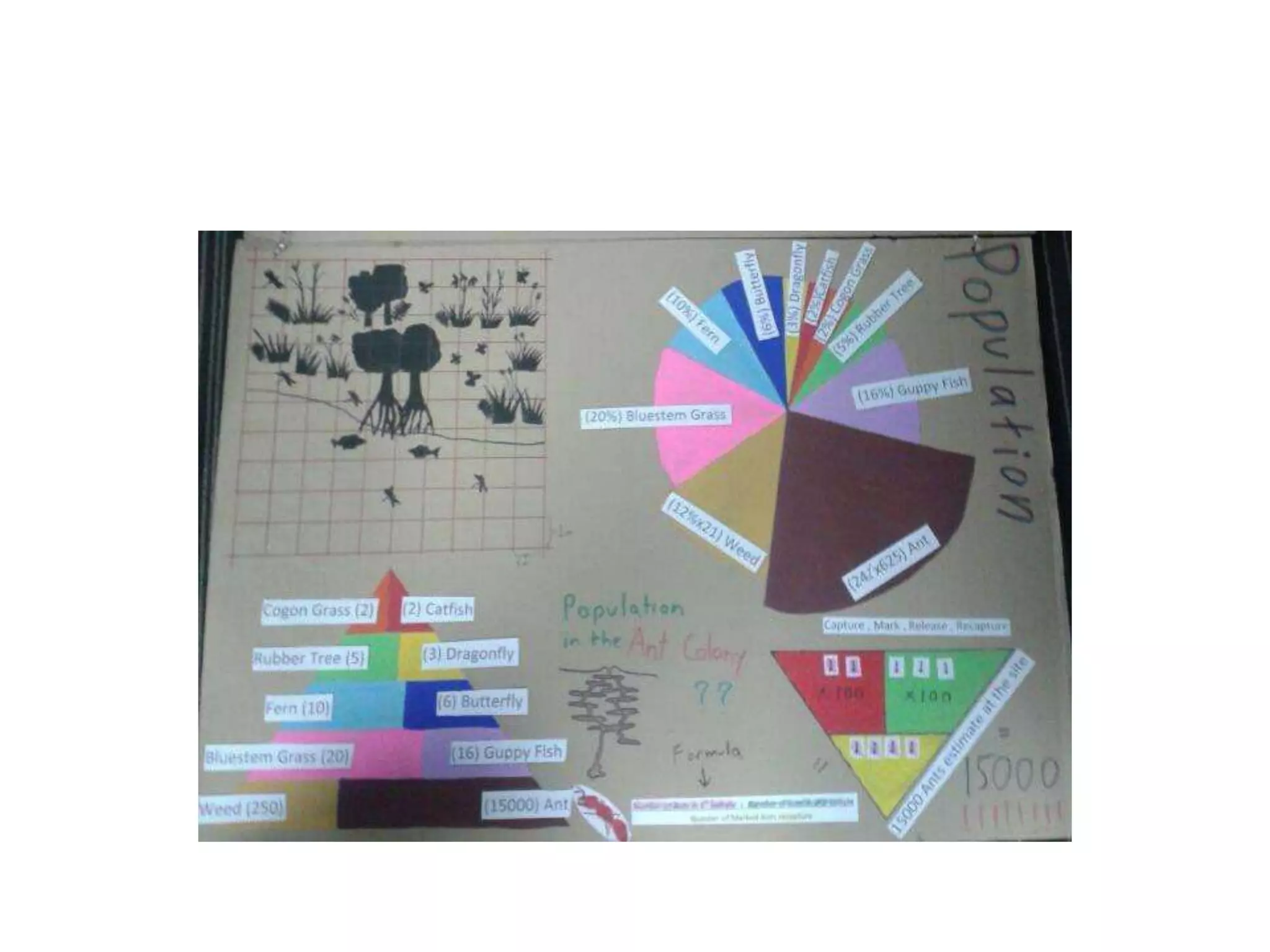 Enbe infographic | PPTX