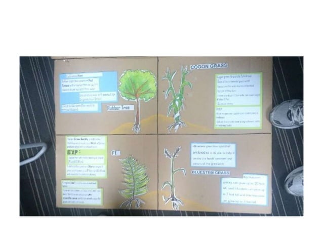Enbe infographic | PPTX