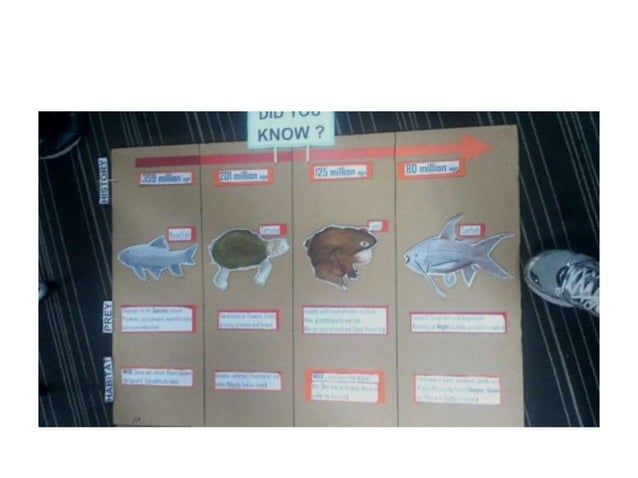 Enbe infographic | PPTX