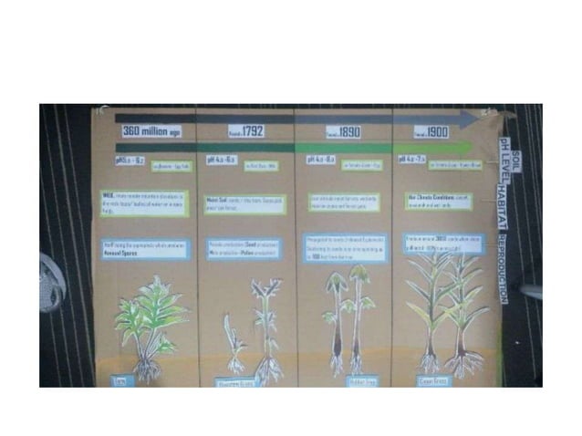 Enbe infographic | PPTX