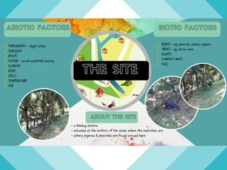 ENBE (PROJECT 1: EXPERIENCING NATURE) | PPT