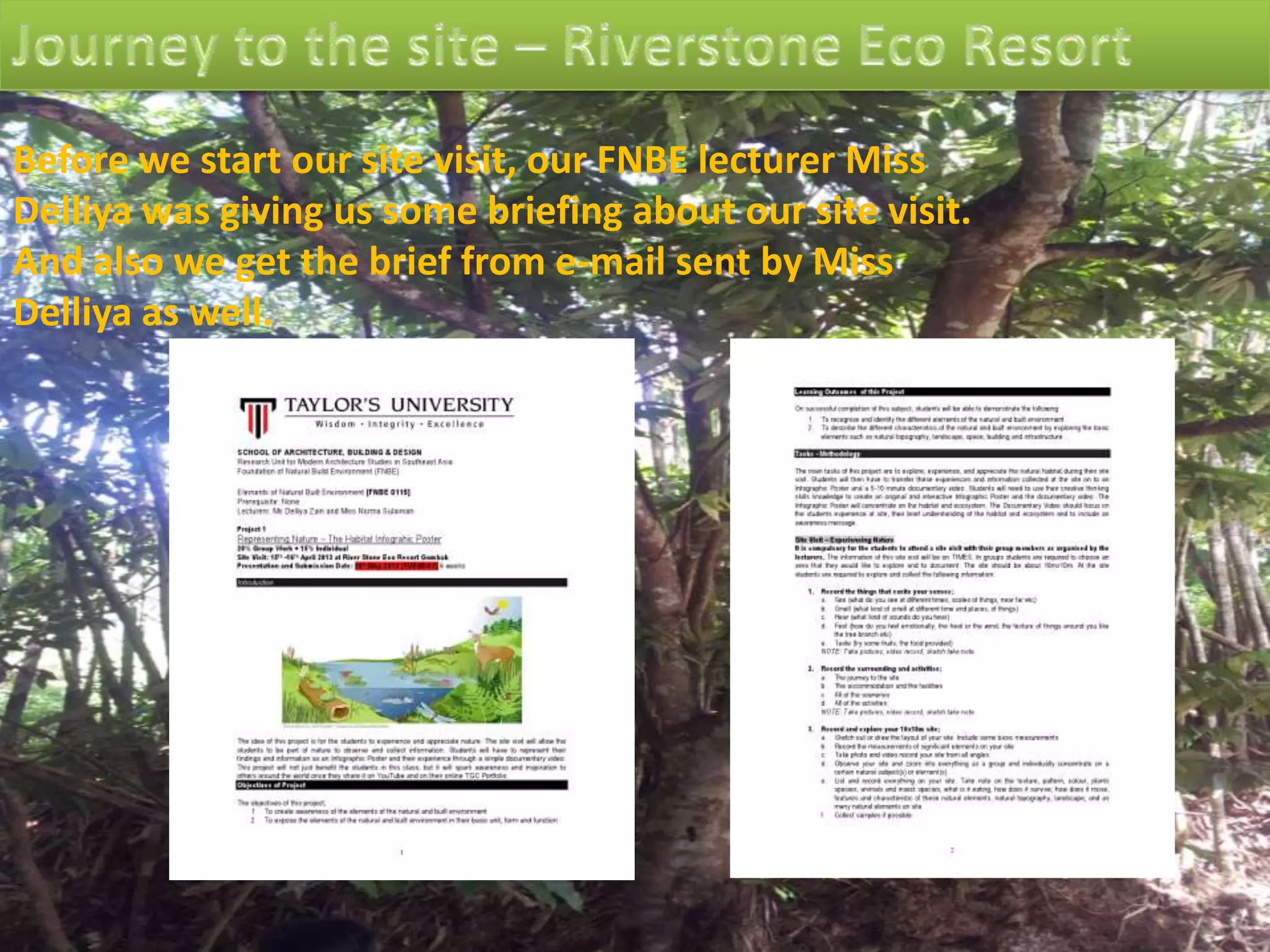 Enbe power point | PPT