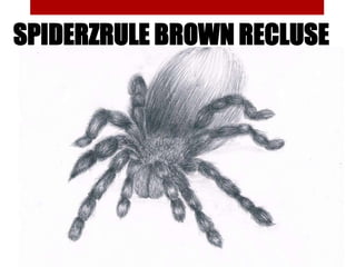 Enbe powerpoint | PPT