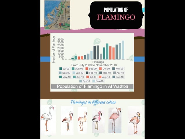 Enbe presentation slides | PPT