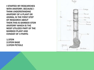 ENBE project 1 | PPT