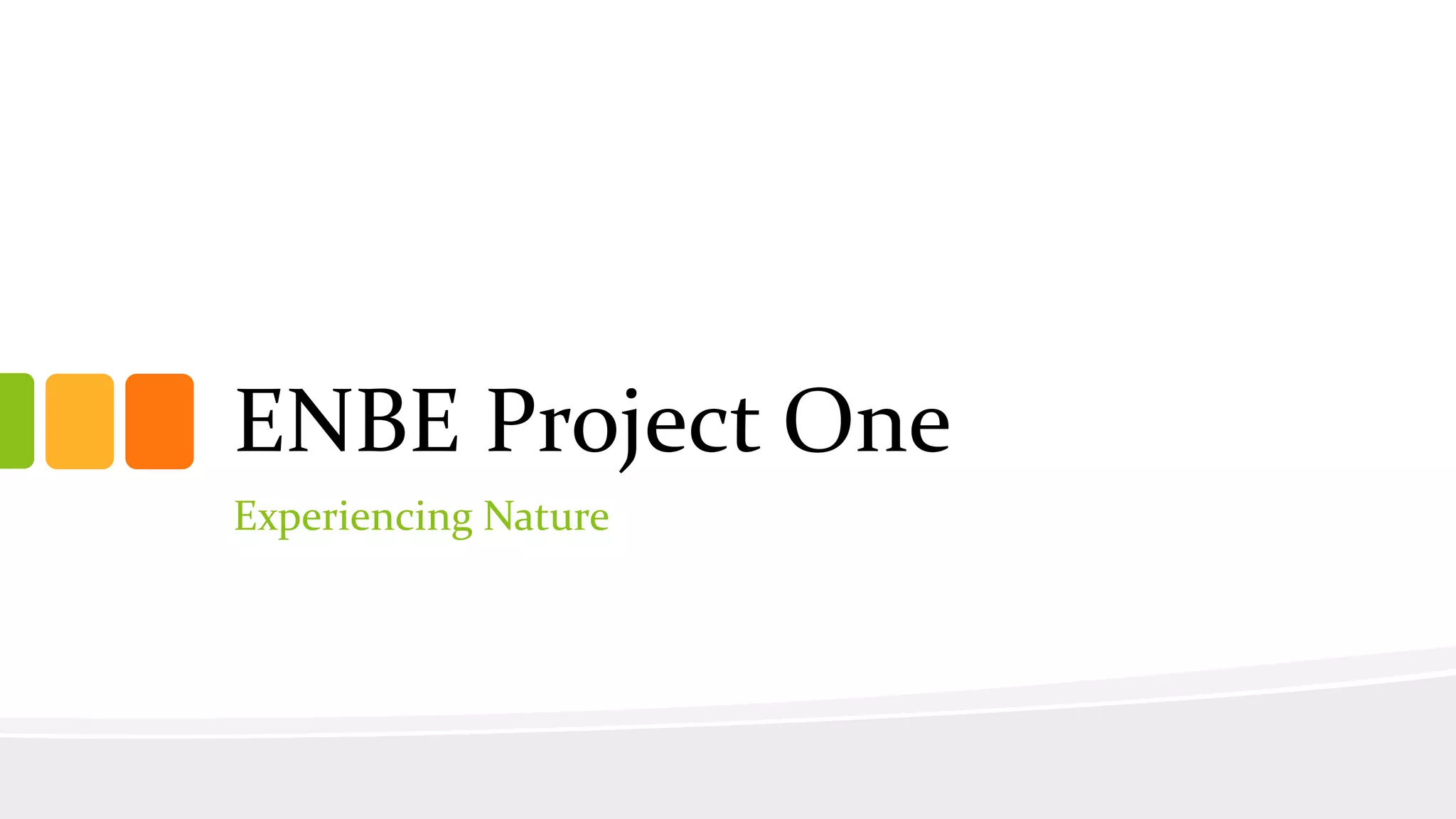 Enbe Project One | PPT