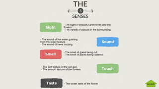 enbe infographic slides | PPTX