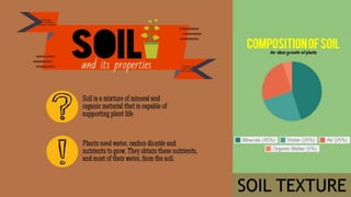 enbe infographic slides | PPTX