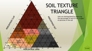 enbe infographic slides | PPTX