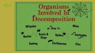 enbe infographic slides | PPTX