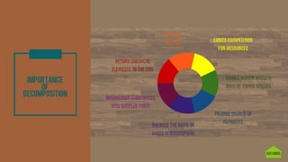 enbe infographic slides | PPTX